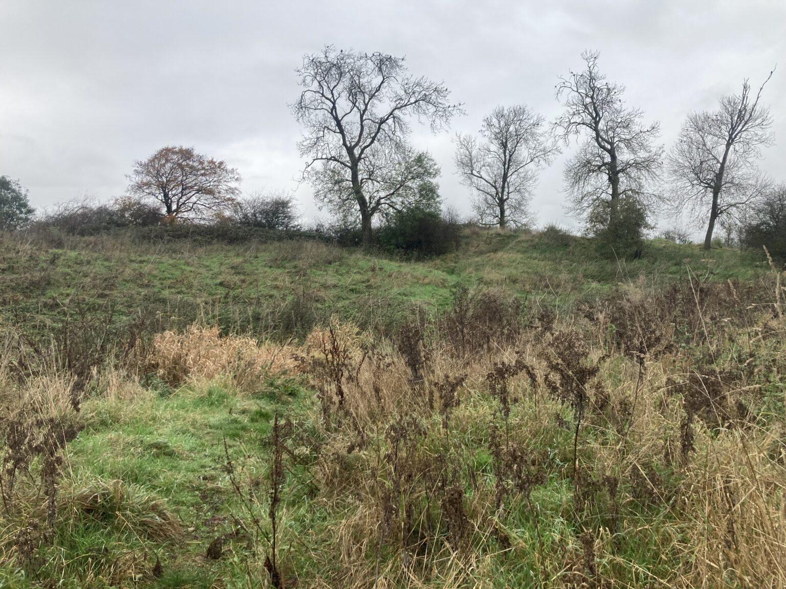 Did Bransholme Have A Castle? – Curiosity Hull