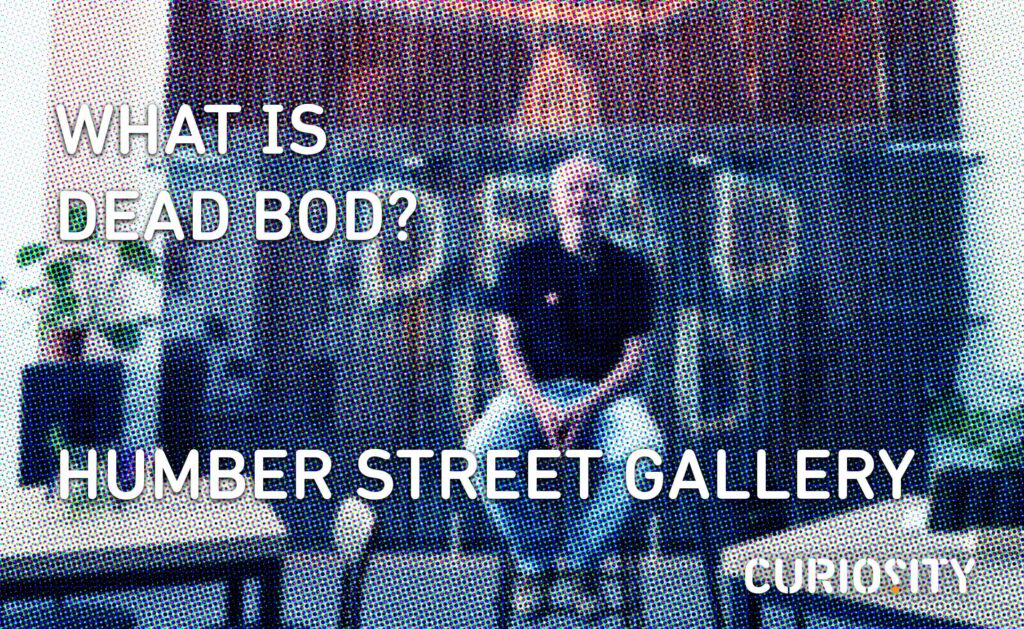What Is Dead Bod? Humber Street Gallery – Curiosity Hull